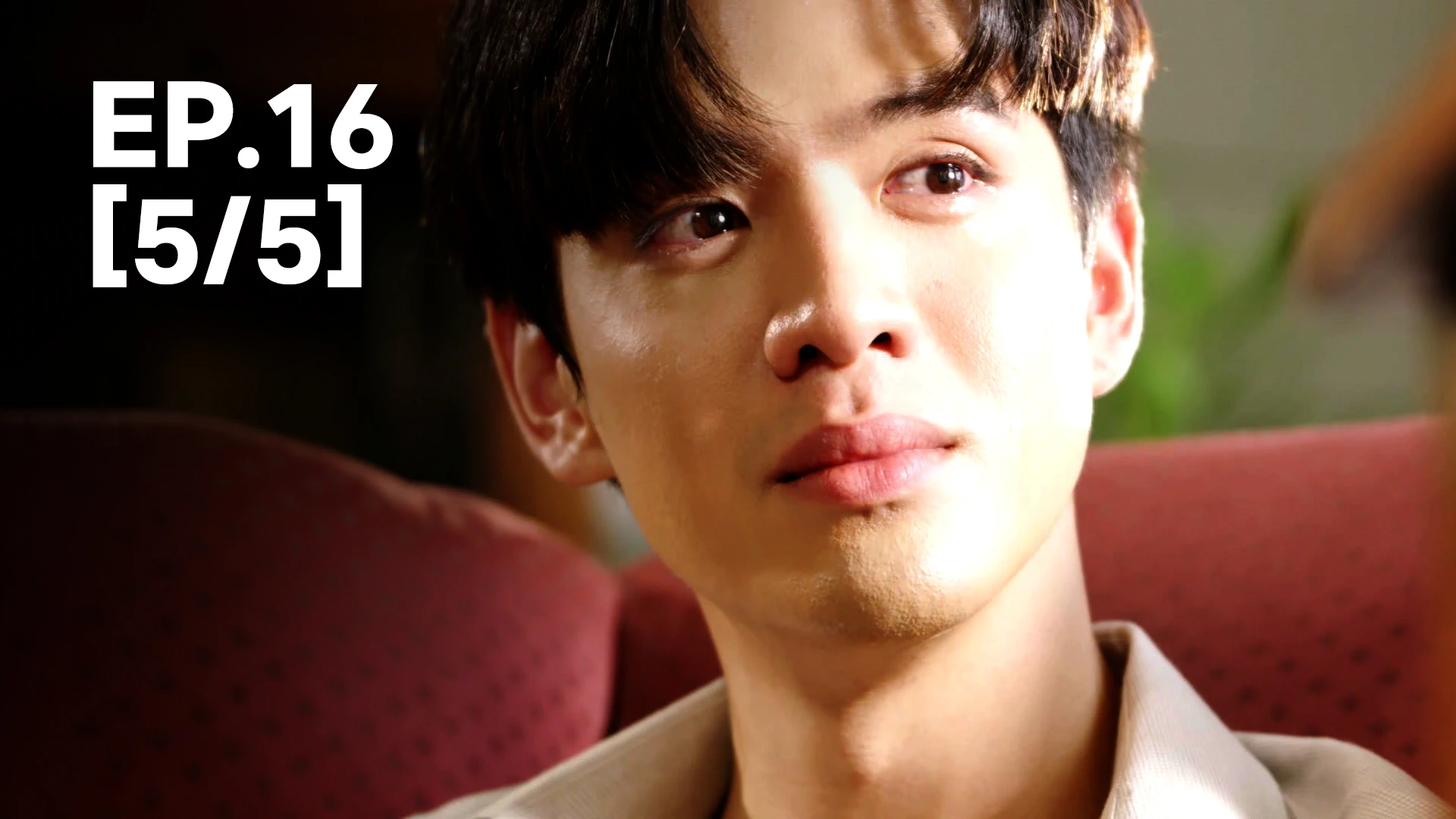 EP.16 [5/5] | วิมานสีทอง - ดูซีรี่ส์ออนไลน์