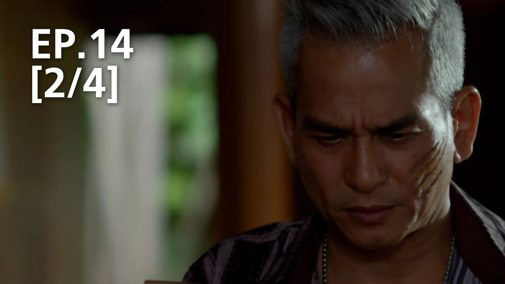 EP.14 [2/4] | พยัคฆา - ดูซีรี่ส์ออนไลน์