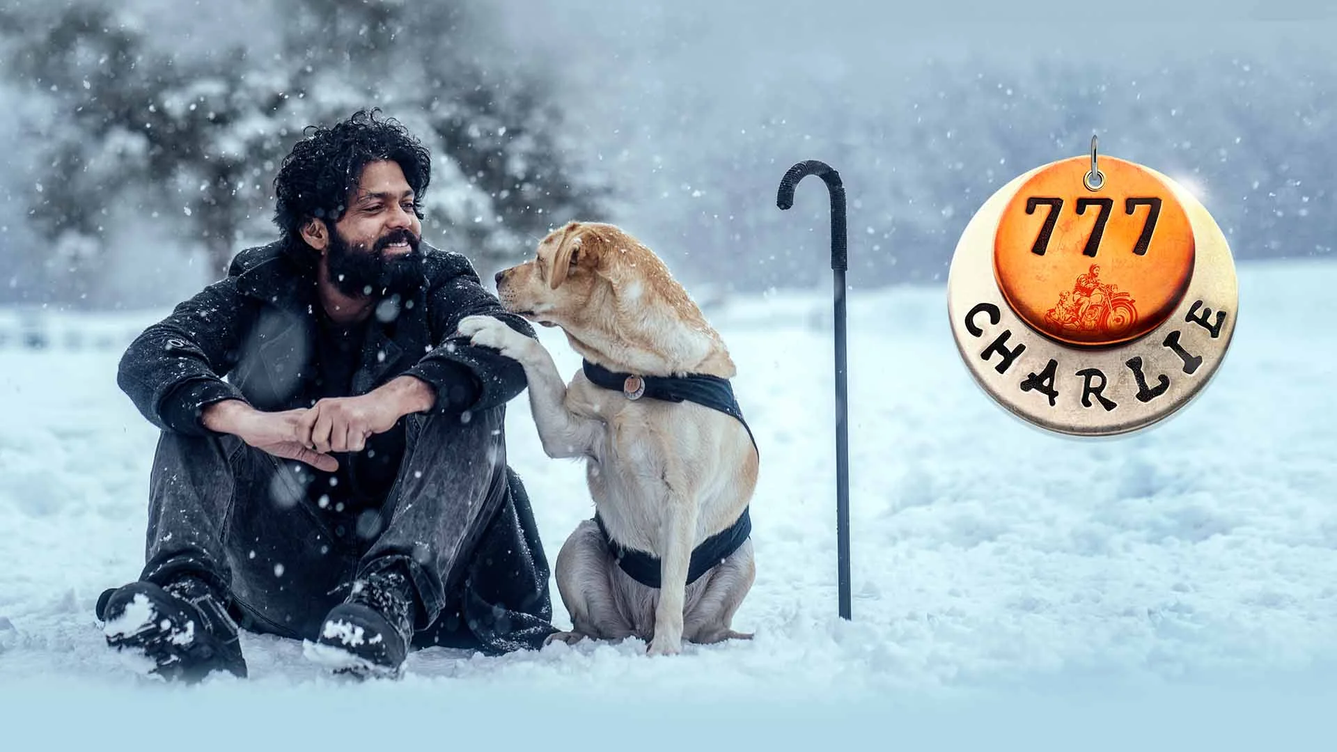 Trailer: 777 Charlie - Watch Movies Online