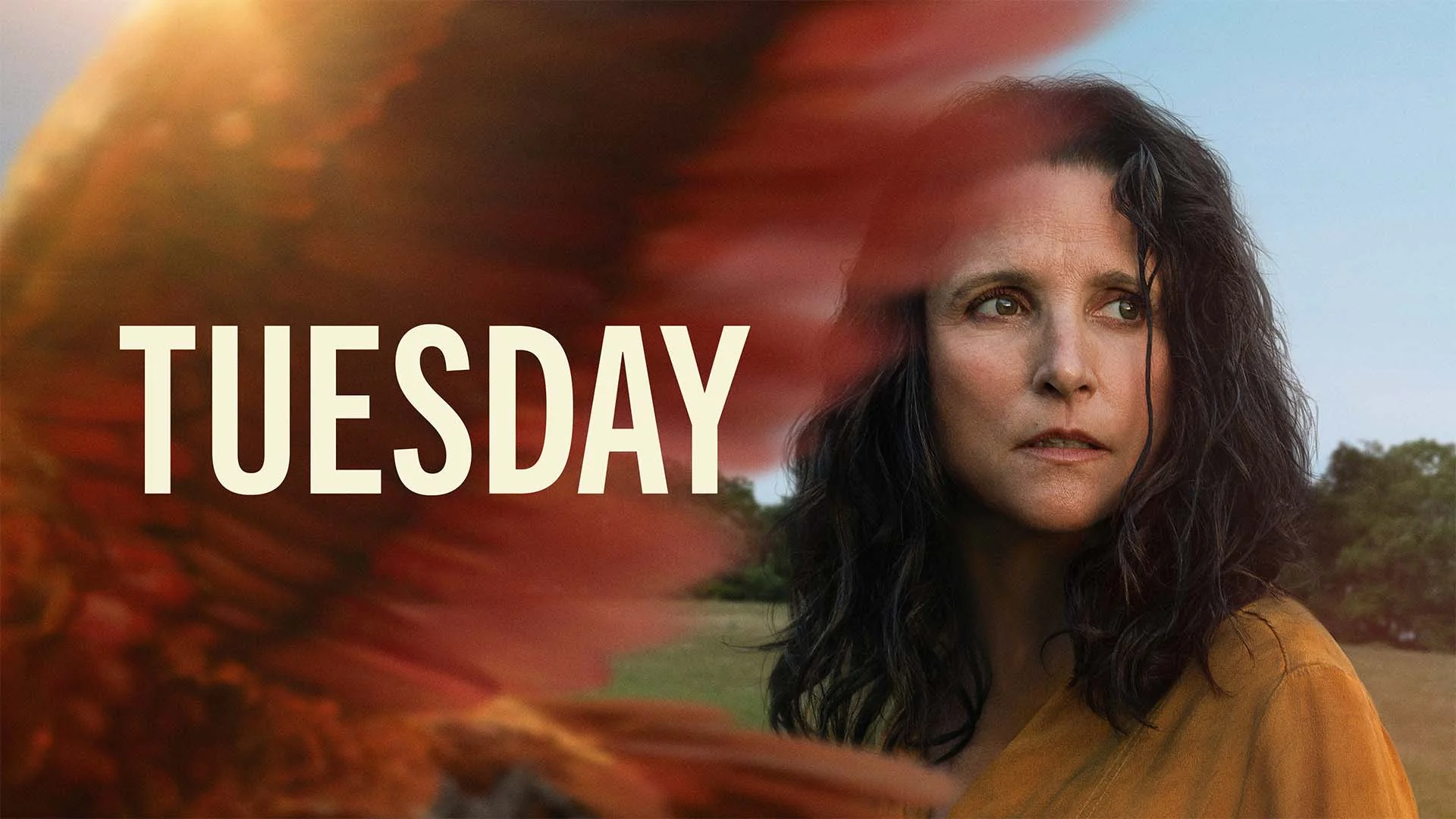 Tuesday - Watch Movies Online