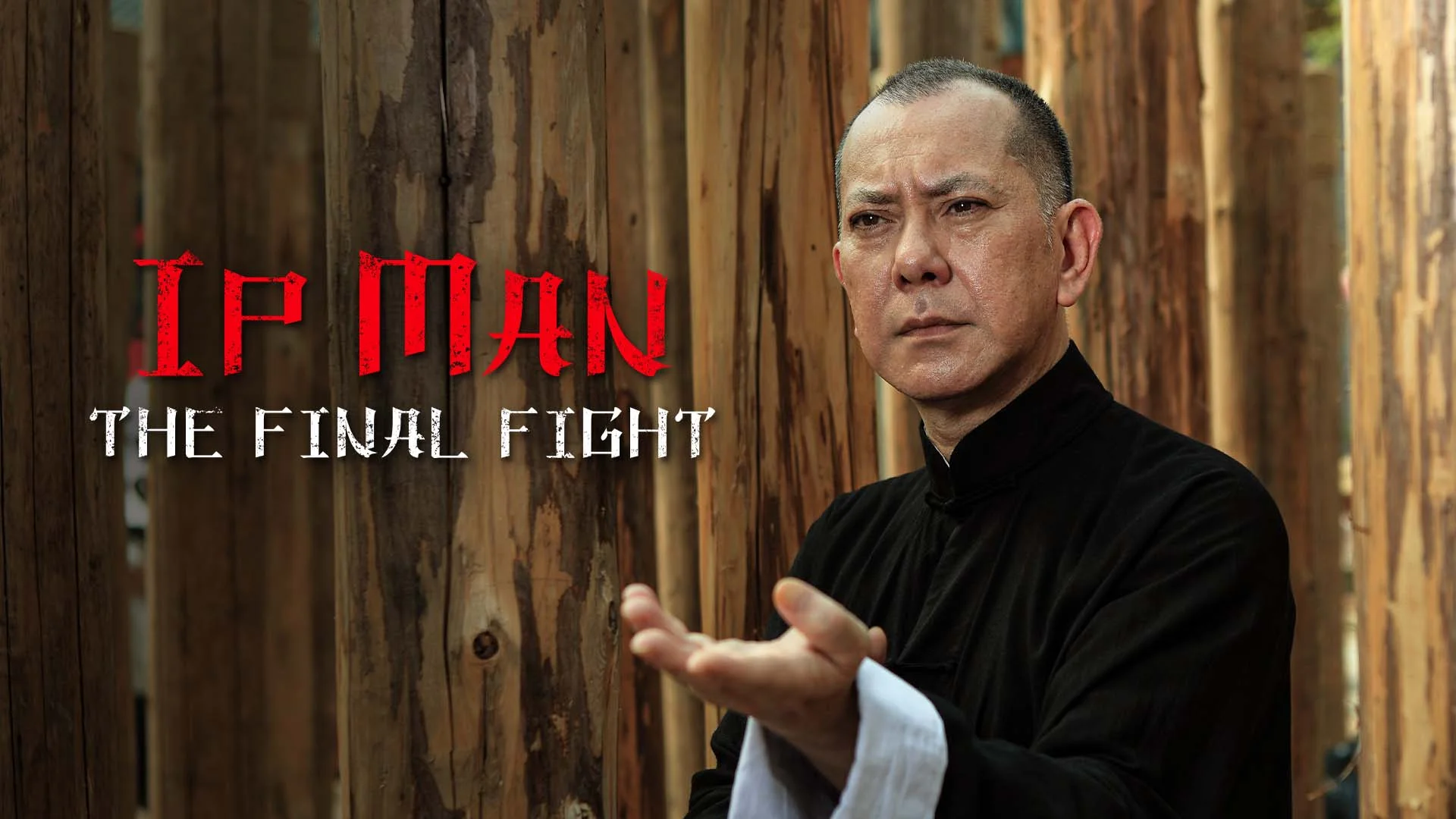 Ip Man the Filnal Fight - Watch Movies Online