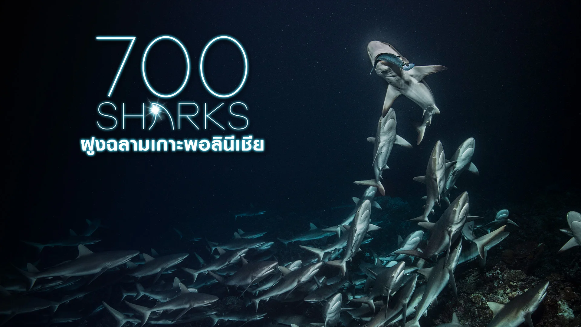 700 Sharks - Watch Movies Online