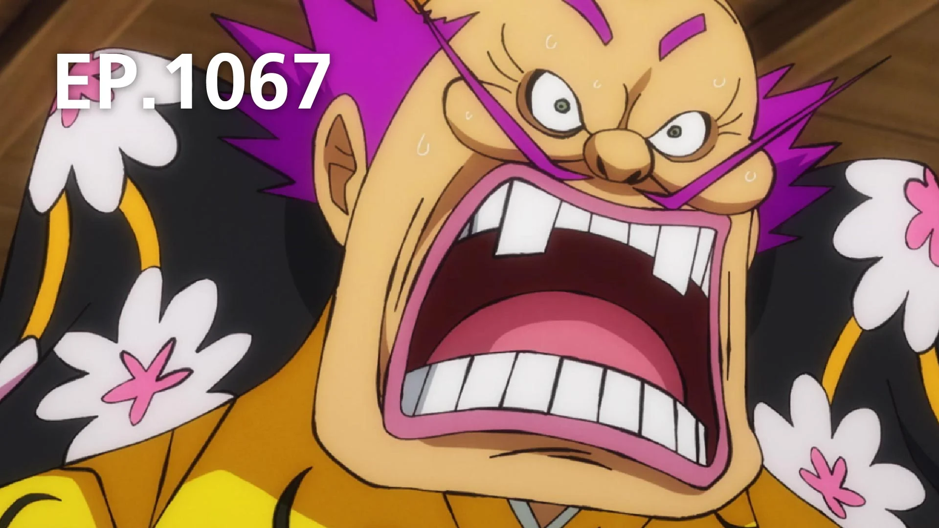 EP.1067 | One Piece Wano Country Season 20 EP.1067 | วันพีซ ดินแดนวาโนะ ซีซัน 20 - ดูหนังออนไลน์