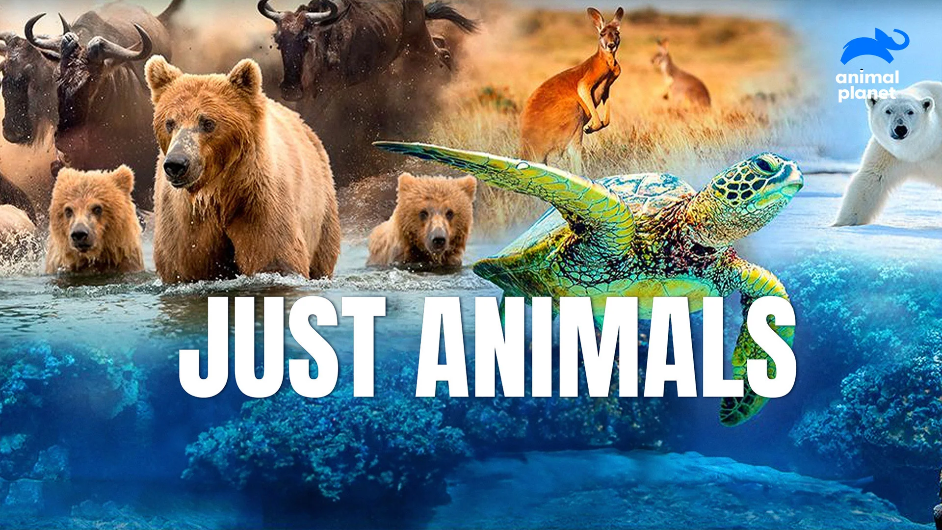 Just Animals - ดูซีรี่ส์ออนไลน์