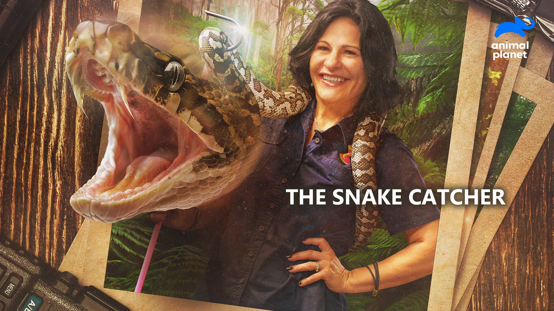 The Snake Catcher - ดูซีรี่ส์ออนไลน์