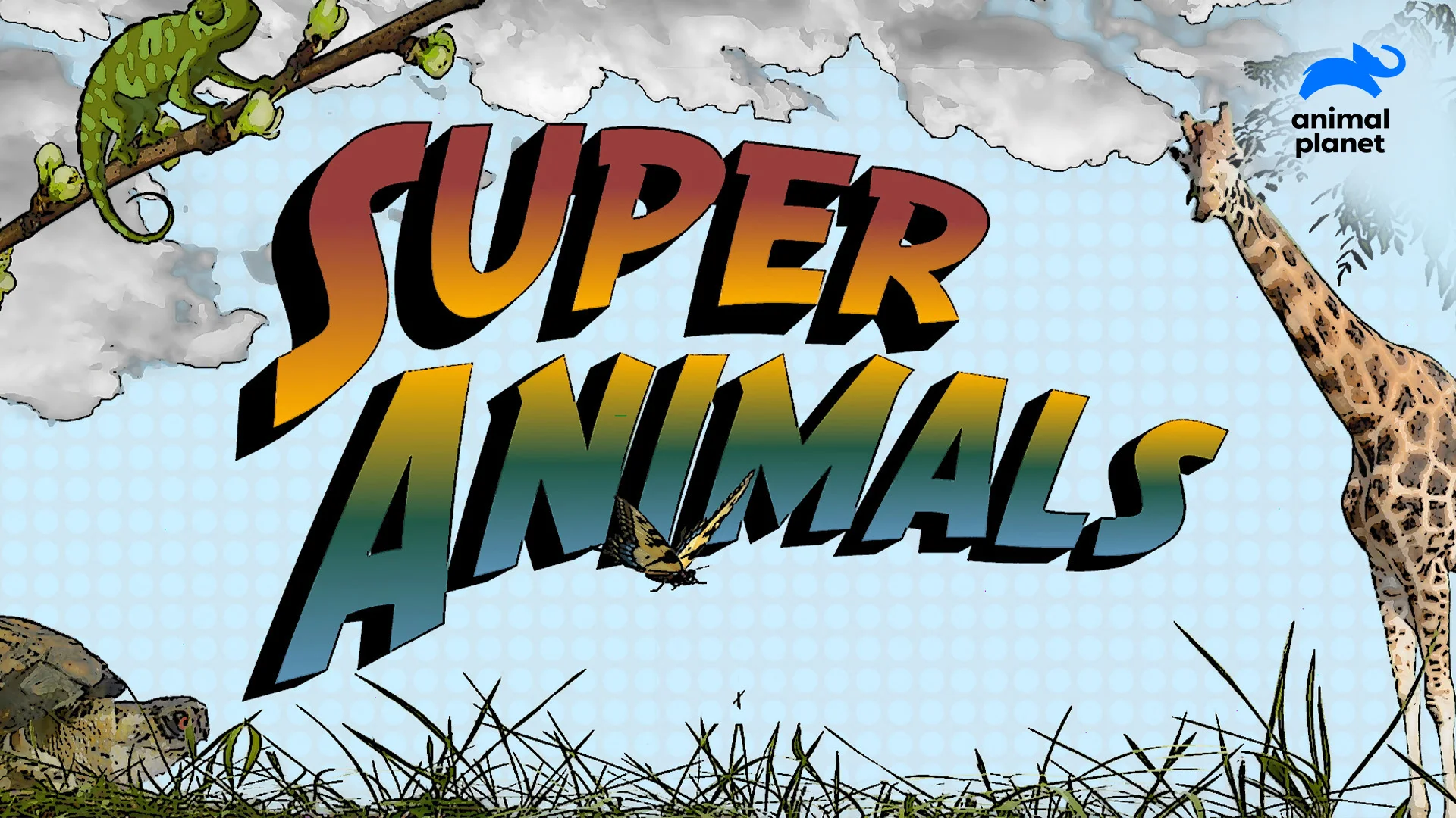 Super Animals - ดูซีรี่ส์ออนไลน์