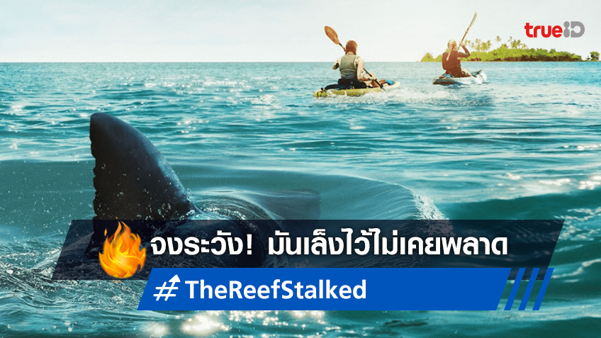 เหยื่อแค่อึดใจ..มันเล็งใครไม่มีคำว่าพลาด เตรียมผวาใน "The Reef: Stalked ...