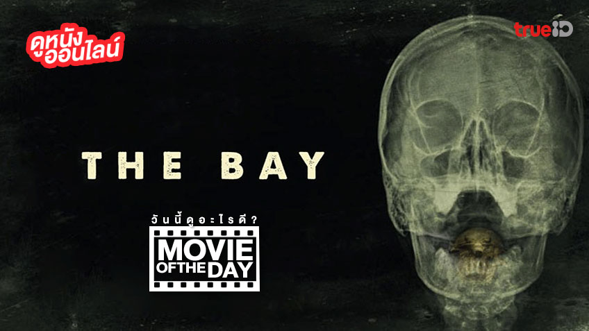 The Bay 24 ชม. แพร่พันธุ์สยอง - หนังน่าดูที่ทรูไอดี (Movie of the Day)
