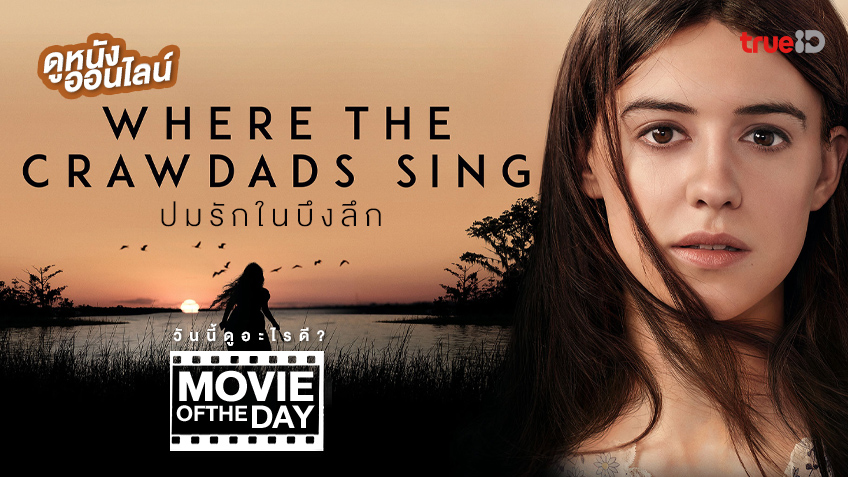 Where the Crawdads Sing ปมรักในบึงลึก - หนังน่าดูที่ทรูไอดี (Movie of ...