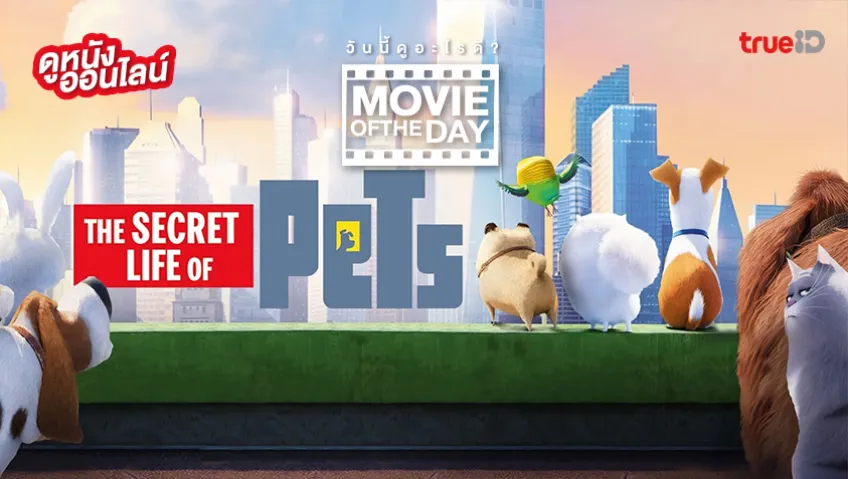 The Secret Life Of Pets เรื่องลับแก๊งขนฟู - หนังน่าดูที่ทรูไอดี (Movie ...