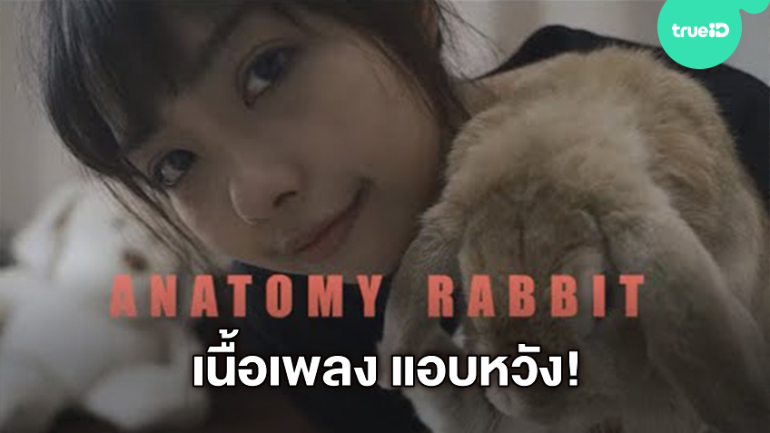 เนื้อเพลง แอบหวัง ( Daydreamer ) เพลงใหม่ของวง ANATOMY RABBIT (มีคลิป)