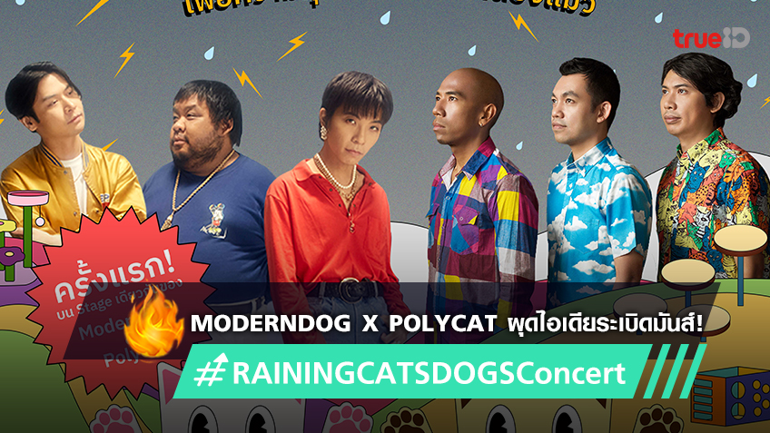 MODERNDOG x POLYCAT เตรียมจัดคอนเสิร์ต นำรายได้ส่วนหนึ่งช่วยเหลือหมาจรแมวจร