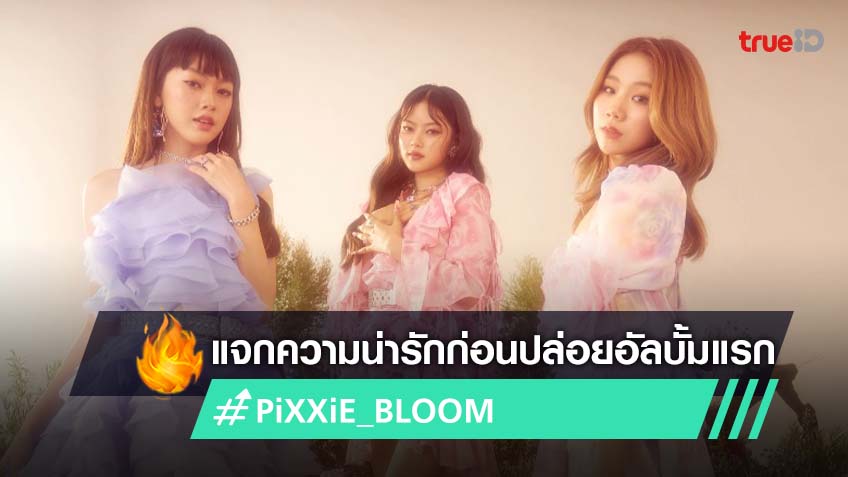 'PiXXiE' เตรียมปล่อยอัลบั้มชุดแรก BLOOM กับสวนดอกไม้อันสวยงาม!