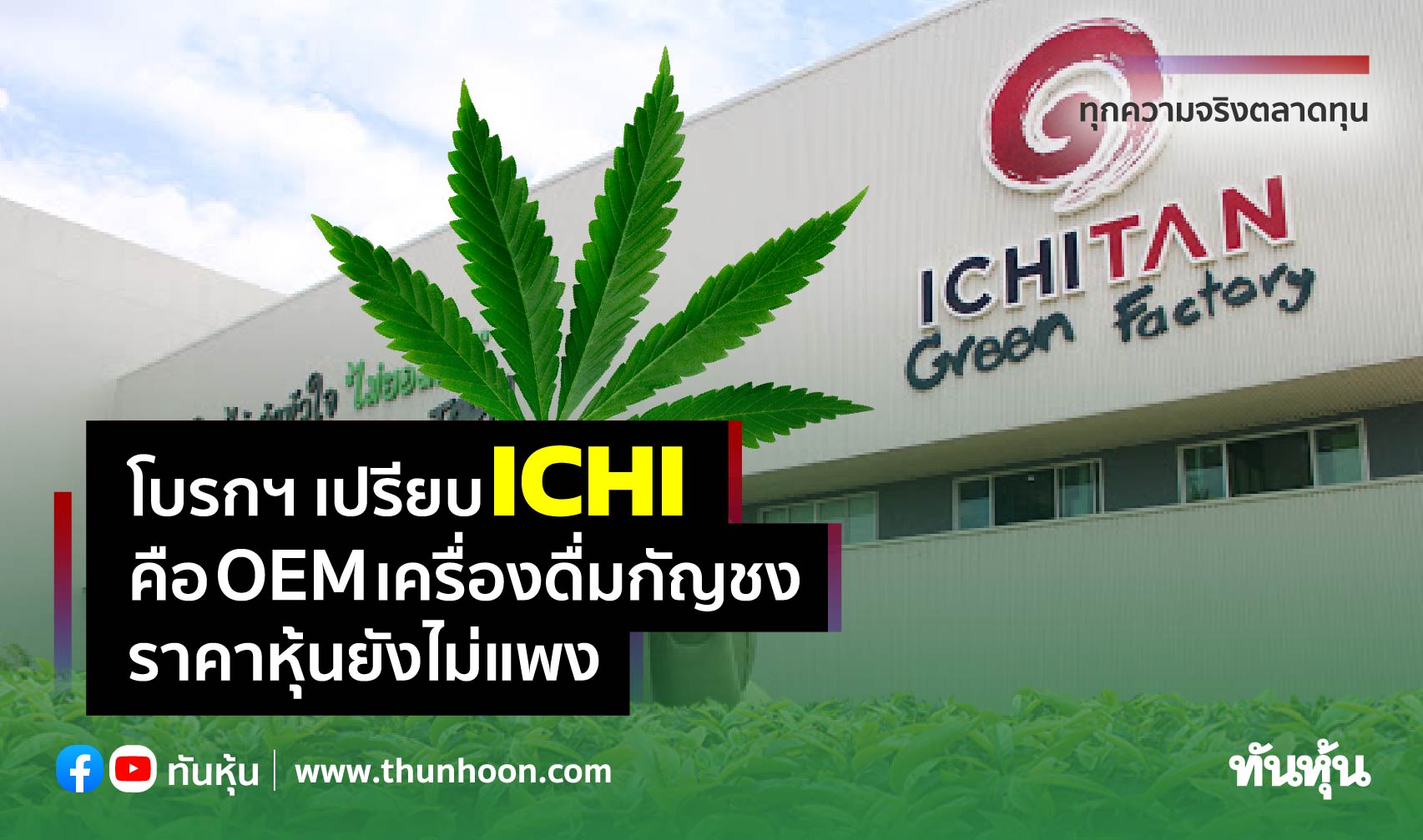 โบรกฯ เปรียบ ICHI คือ OEM เครื่องดื่มกัญชง, ราคาหุ้นยังไม่แพง