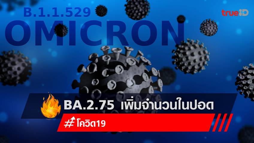 ผลวิจัยพบ "โอมิครอน BA.2.75" เพิ่มจำนวนในปอดมากกว่า BA.2-BA.5