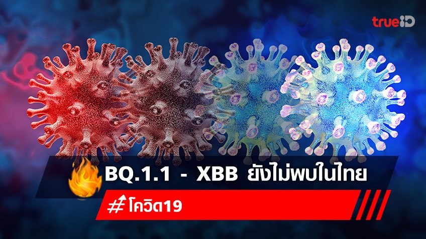 โควิดพันธุ์ BQ.1.1 - XBB ‘แพร่เร็ว-ดื้อภูมิ’ สธ.ยันยังไม่พบในไทย