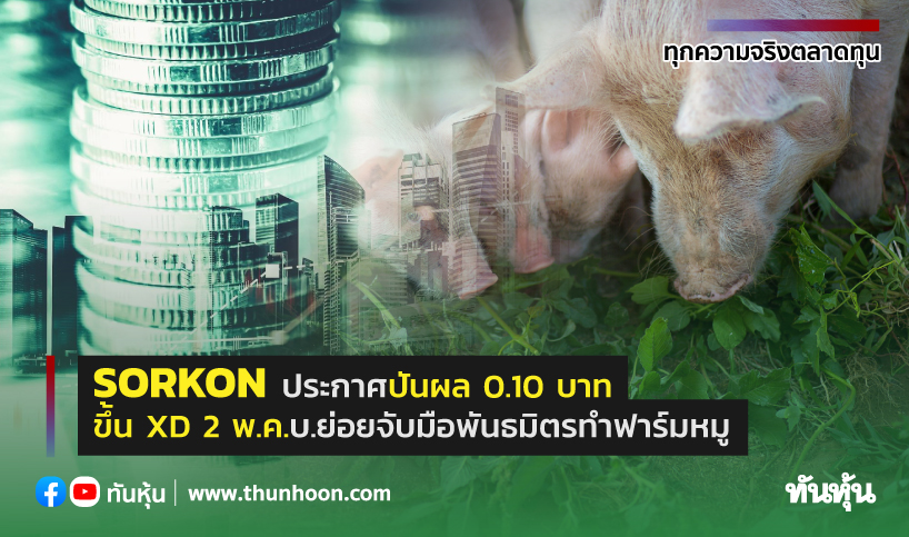 SORKON ประกาศปันผล 0.10 บาท ขึ้น XD 2 พ.ค., บ.ย่อยจับมือพันธมิตรทำฟาร์มหมู
