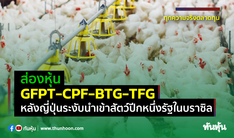 ส่องหุ้น GFPT-CPF-BTG-TFG หลังญี่ปุ่นระงับนำเข้าสัตว์ปีกหนึ่งรัฐในบราซิล