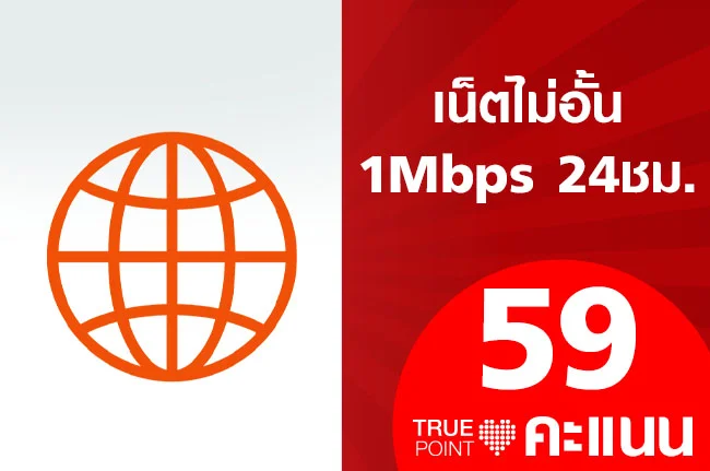 ประหยัด 25.- เน็ตเต็มวัน 1Mbps