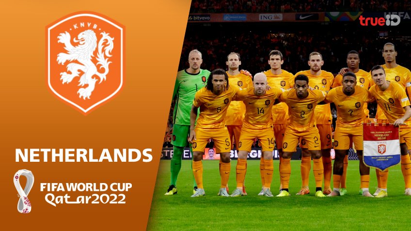 Introducing the 2022 FIFA World Cup Team : The Dutch National Team ...