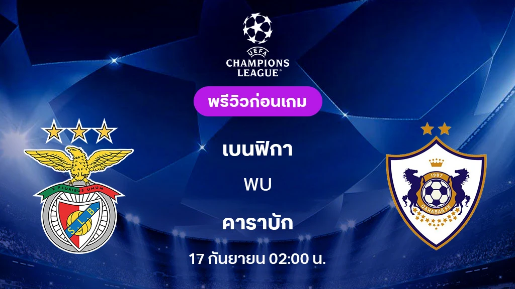 17 stifte ne karotte und der kabel