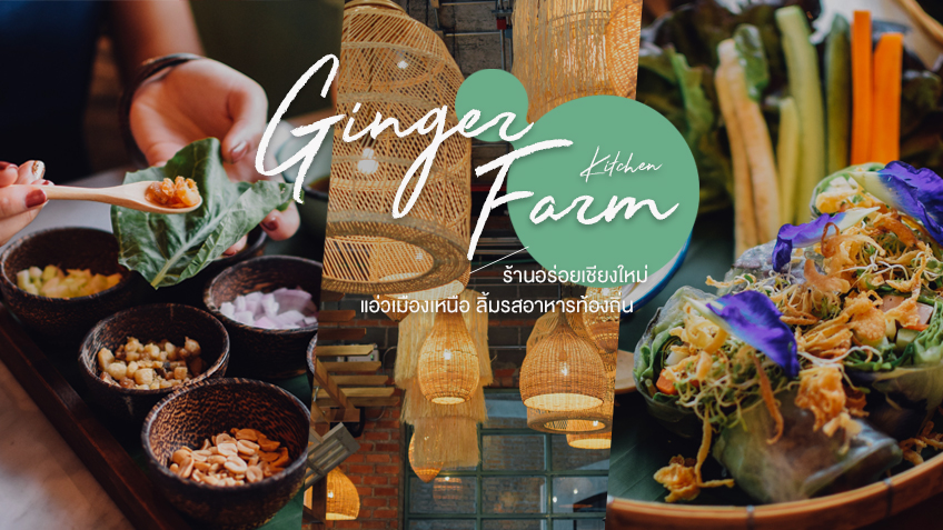 Ginger Farm Kitchen ร้านอร่อย เชียงใหม่ ใน One Nimman เที่ยวเหนือ ชิม ...
