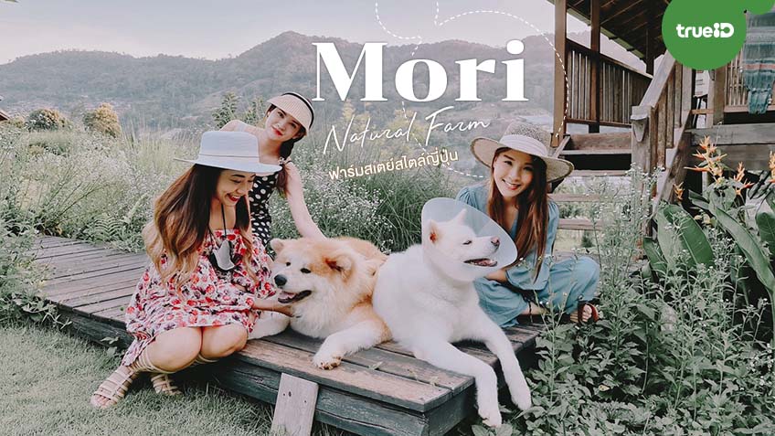 Mori Natural Farm ที่พักสวย เชียงใหม่ สไตล์ญี่ปุ่น ฟาร์มสเตย์ในหุบเขา