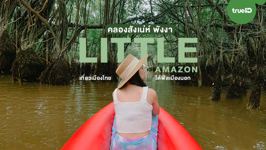 ล่องเรือ คลองสังเน่ห์ พังงา ผจญภัยใน Little Amazon เที่ยวเมืองไทย ได้ ...