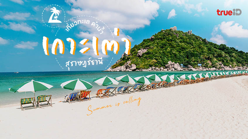 เที่ยวเกาะเต่า สุราษฎร์ธานี กับ 8 อย่างที่ต้องทำ ไปเที่ยวขำๆ จะไม่ได้ ...