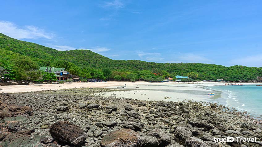 หาดเทียน ที่เที่ยวเกาะล้าน ทะเลใกล้กรุงเทพ ชลบุรี หาดสวย น้ำใสแจ๋ว ถ่าย ...