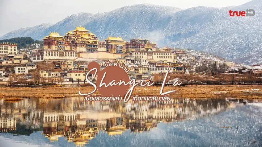 ผลการค้นหา “Shangri-La” - ทรูไอดี