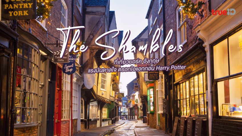 The Shambles ยอร์ค ที่เที่ยวอังกฤษ แรงบันดาลใจ ตรอกไอแอกกอน Harry Potter