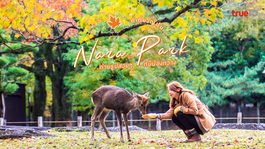 เที่ยวนารา Nara Park ญี่ปุ่น ที่เที่ยวใกล้โอซาก้า ถ่ายรูปน้องกวาง สุดน่ารัก