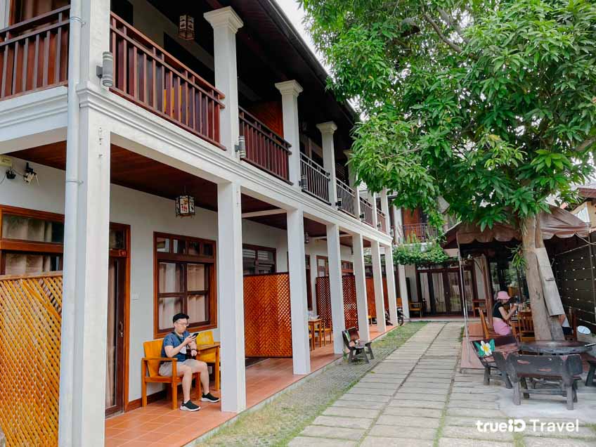 เที่ยวหลวงพระบาง ตื่นเช้า ตักบาตรข้าวเหนียว ตลาดเช้าหลวงพระบาง หาของ