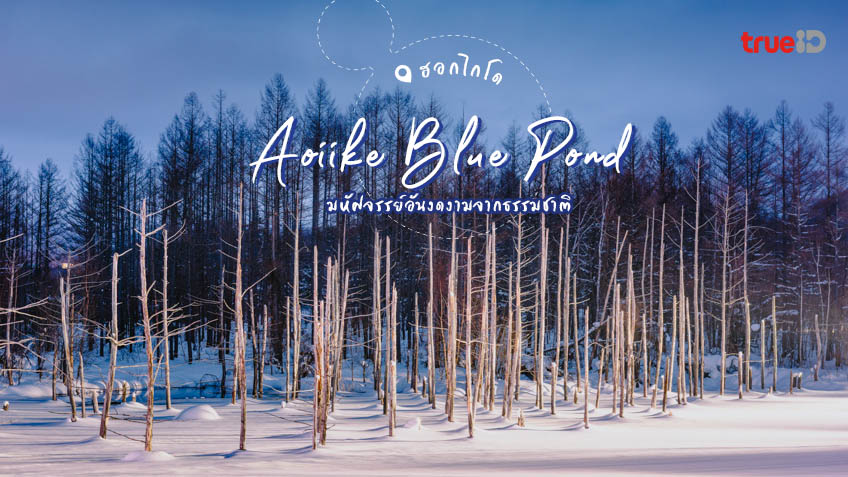 สระอะโออิเคะ Aoiike Blue Pond ที่เที่ยวฮอกไกโด ชมมหัศจรรย์จากธรรมชาติ