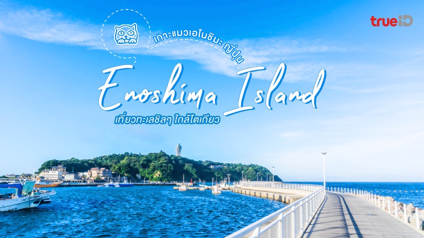 เที่ยวญี่ปุ่น เกาะแมว Enoshima Island เที่ยวทะเลชิลๆ ใกล้โตเกียว