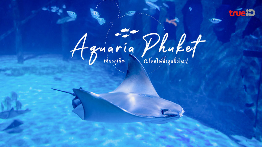 Aquaria Phuket อควาเรีย ภูเก็ต อควาเรี่ยมที่ใหญ่ที่สุดในไทย