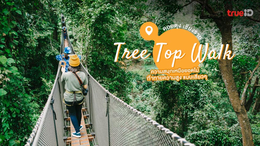 Doi Tung Tree Top Walk ที่เที่ยวเชียงราย ความสนุกเหนือยอดไม้สูงแบบเสียวๆ