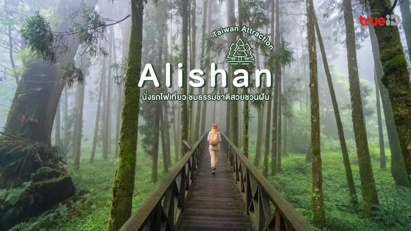 อาลีซาน Alishan ที่เที่ยวไต้หวัน นั่งรถไฟ ชมธรรมชาติ สวยชวนฝัน