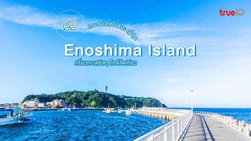 เที่ยวญี่ปุ่น เกาะแมว Enoshima Island เที่ยวทะเลชิลๆ ใกล้โตเกียว