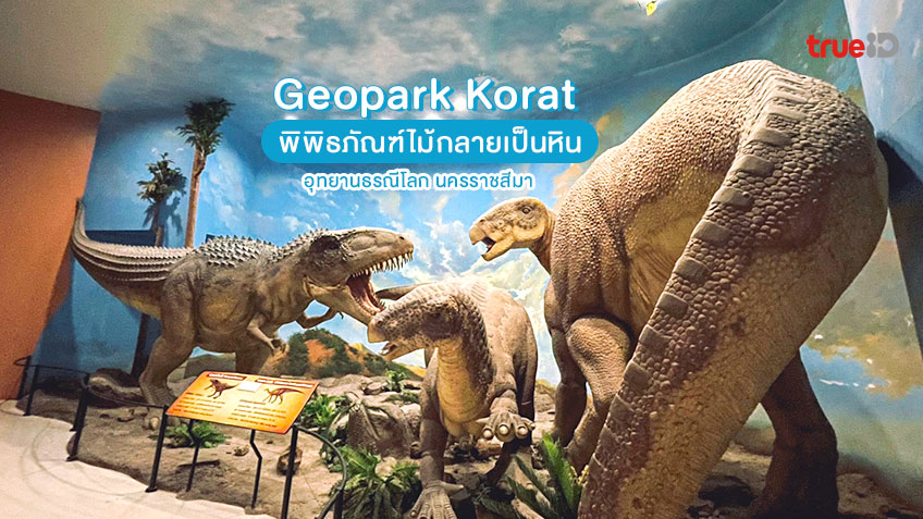 พิพิธภัณฑ์ไม้กลายเป็นหิน Geopark โคราช อุทยานธรณีโลก เที่ยวนครราชสีมา