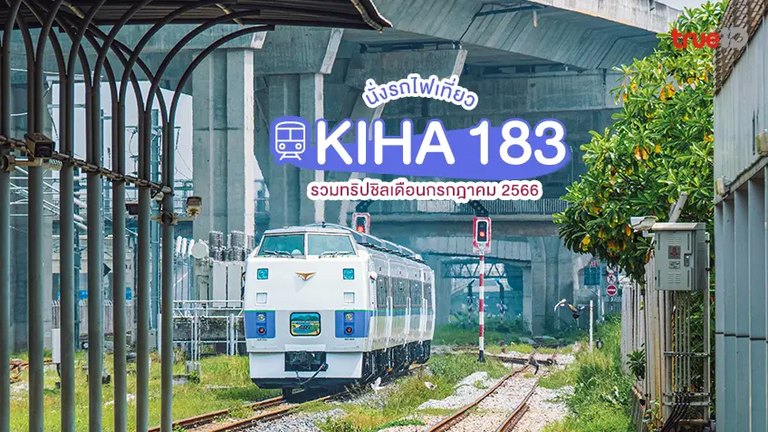 มัดรวม ทริปชิล นั่งรถไฟเที่ยว เดือนกรกฎาคม 2566 รถไฟขบวนพิเศษ KIHA