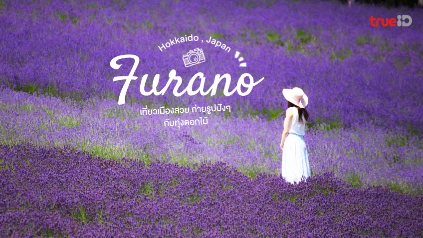Furano ที่เที่ยวญี่ปุ่น เมืองสวย ฮอกไกโด ถ่ายรูปปังๆ กับทุ่งดอกไม้