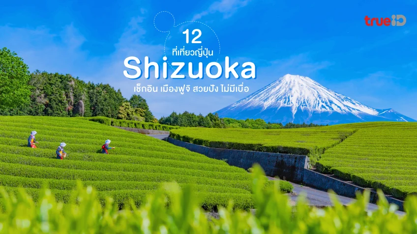 เที่ยวญี่ปุ่น 12 ที่เที่ยวชิซุโอกะ เช็กอิน เมืองภูเขาไฟฟูจิ สวยปังไม่มีเบื่อ