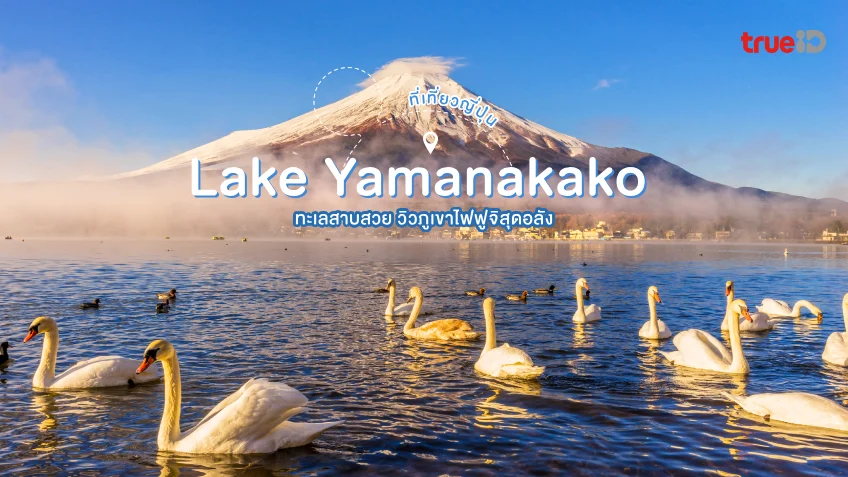 ที่เที่ยวญี่ปุ่น Lake Yamanakako ทะเลสาบสวย วิวภูเขาไฟฟูจิสุดอลัง