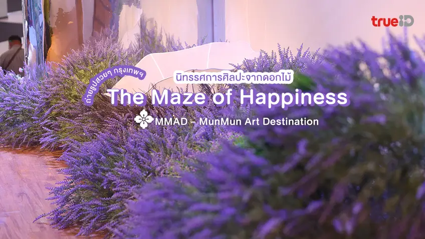 จุดถ่ายรูปสวย กรุงเทพ นิทรรศการศิลปะจากดอกไม้ The Maze of Happiness by ...