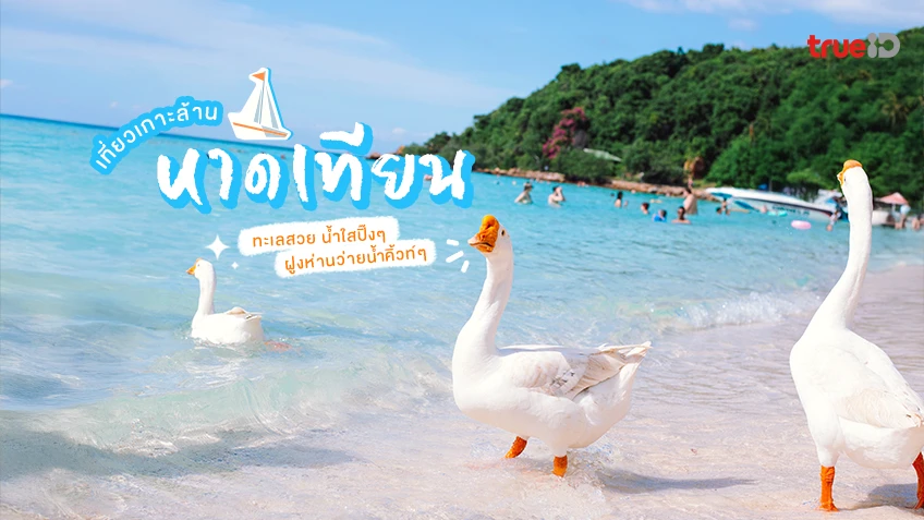 เที่ยวเกาะล้าน หาดเทียน พัทยา ทะเลสวย ถ่ายรูป ฝูงห่านว่ายน้ำ คิ้วท์ๆ
