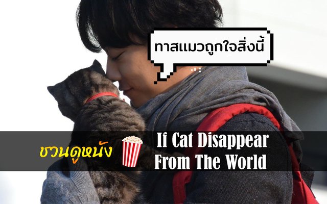 ชวนดูหนัง "If Cat Disappear From The World" ถ้าแมวตัวนั้นหายไปจากโลกนี้