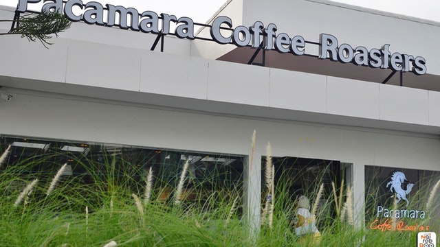 Pacamara Coffee Roasters x Specialty Coffee Lab
