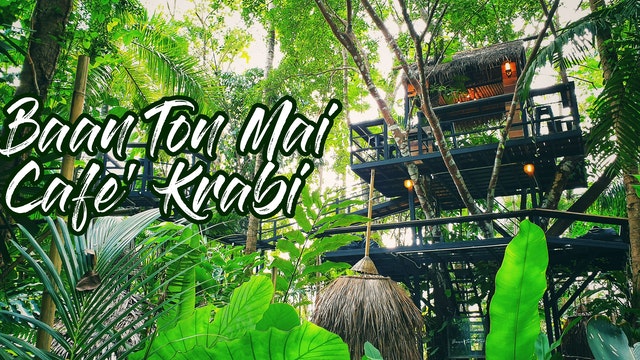 บ้านต้นไม้ The Tree House Cafe Krabi